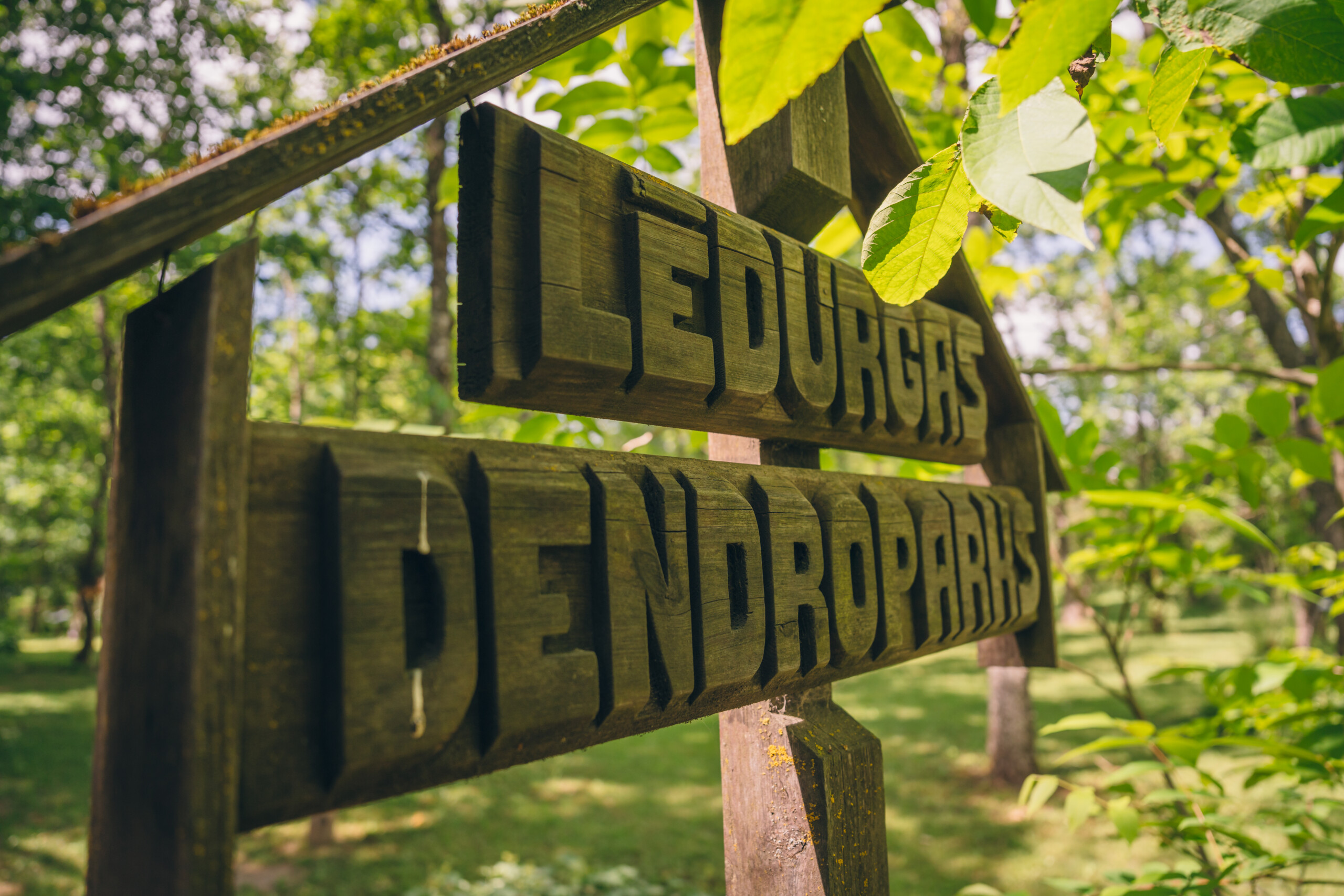 Ledurga Dendropark - Learn & Leisure – For Schools and Families and ...