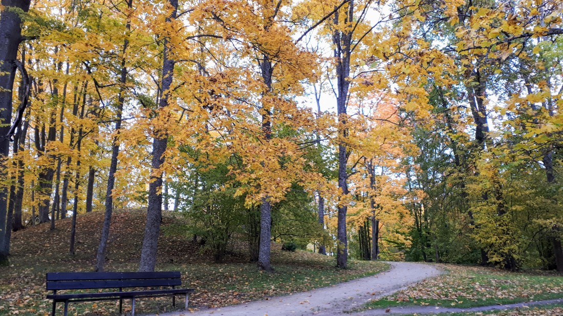 Game - hike "Preiļi Park Beech Tree Trail" - Learn & Leisure – For ...