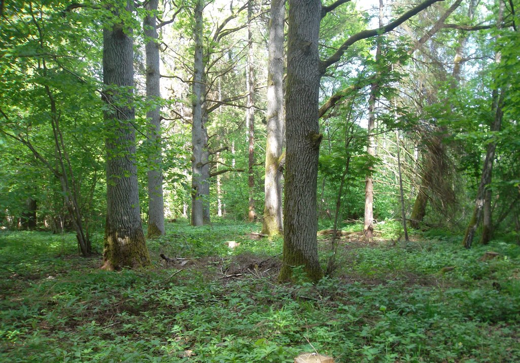 Nature reserve "Ukru gārša" - Learn & Leisure – For Schools and ...